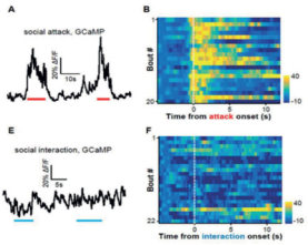 Single color single channel optical fiber recording system led version ...