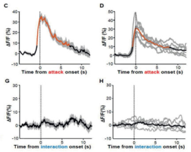 Single color single channel optical fiber recording system led version ...