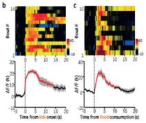 Monochromatic single channel optical fiber recording system laser ...