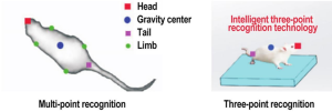 VisuTrack High-end Animal Behavior Analysis System - TYtech