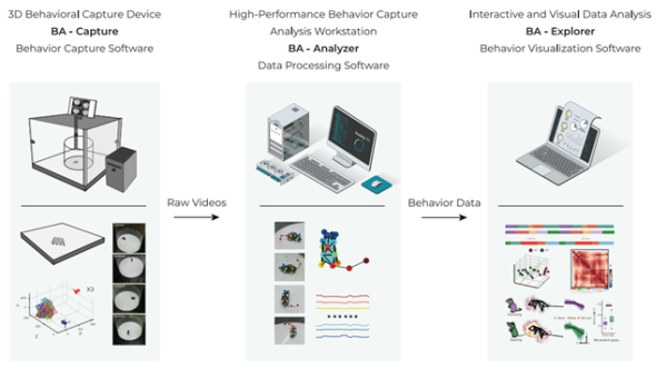 3D-AI Animal Behavior Analysis System - TYtech